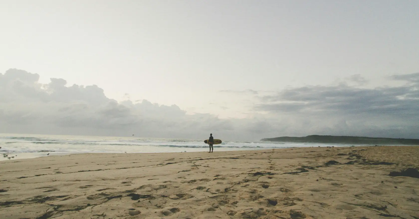 Surf it up - Cabin Anthology
